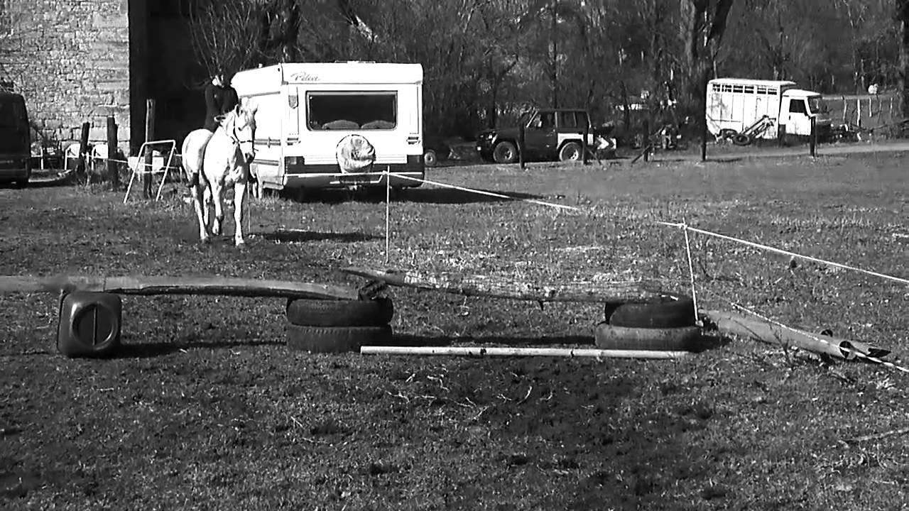 Journée avc LAURA bess 207.MOV - YouTube