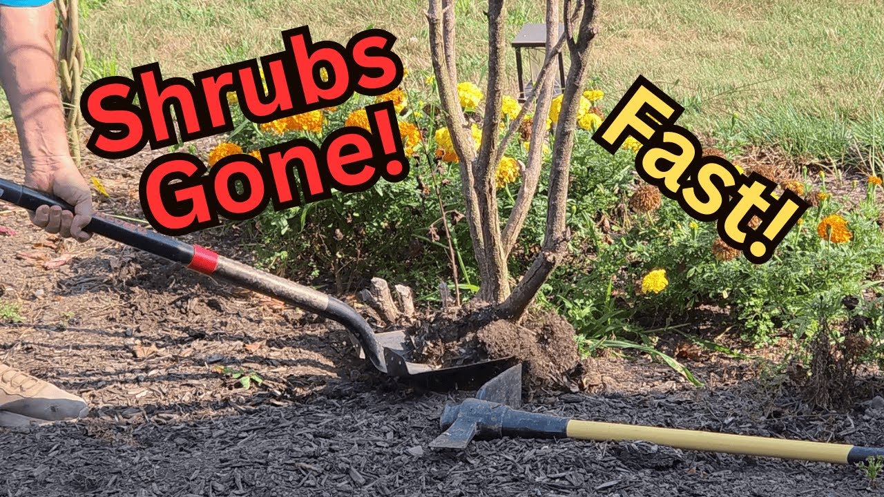 Easiest Way to Remove a Shrub (No Shovel, No Pickaxe!) - YouTube