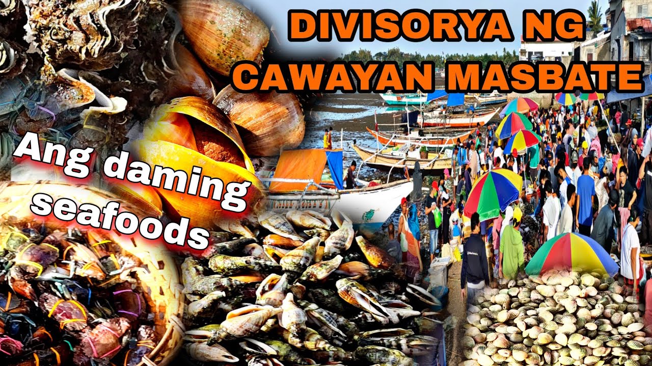 DIVISORYA NG CAWAYAN MASBATE MURANG BILIHIN NG MGA Fresh na isda at sea ...