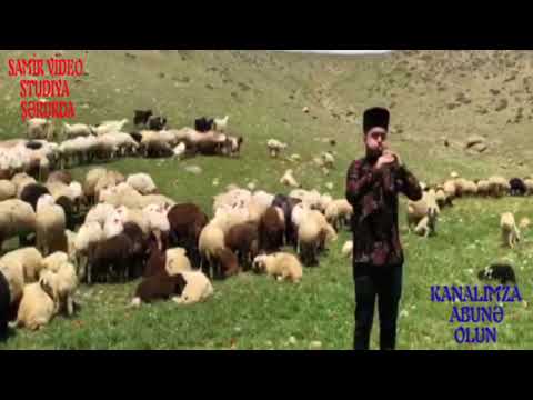 SERXAN ELİYEV ÇOBAN QARA 2021