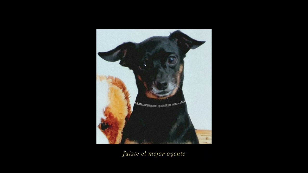 ALMA DE PERRO - LIL'UGGLY - YouTube