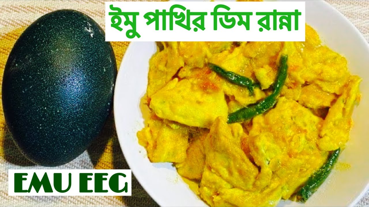 Emu eeg /ইমু পাখির ডিম রান্না || cooking en emu eeg ||Egg omelet recipe ...