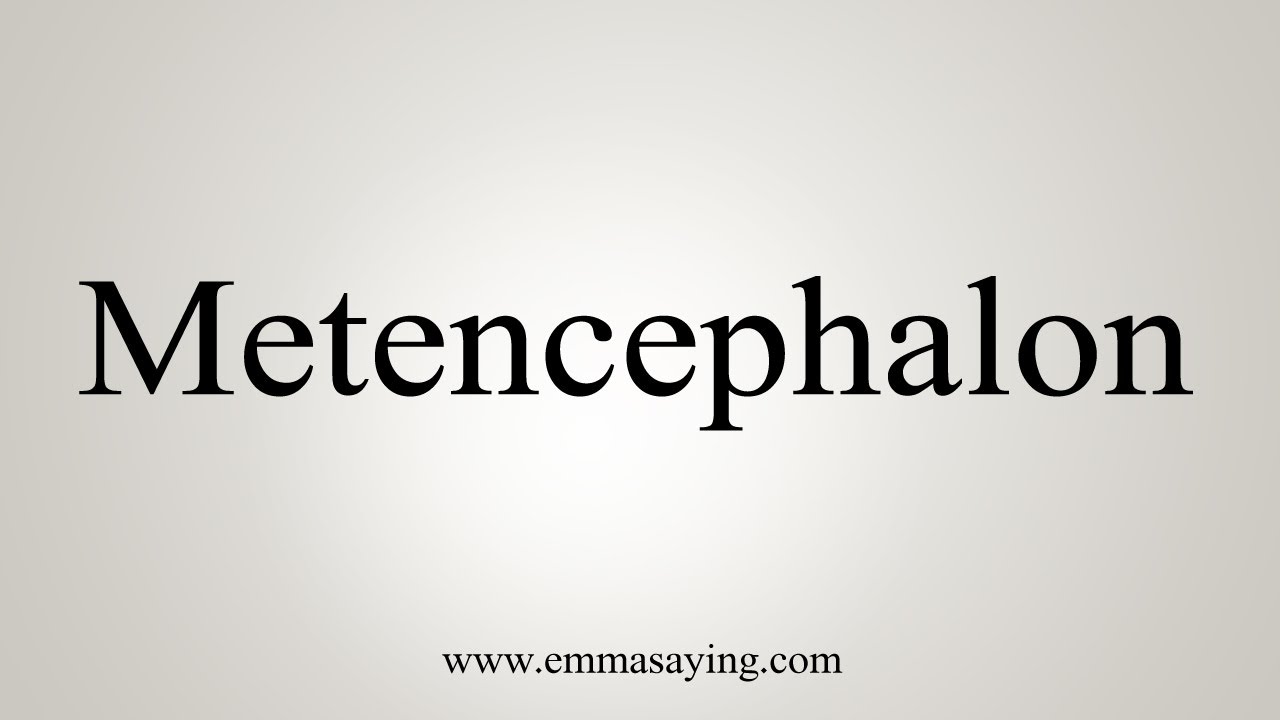 How To Say Metencephalon - YouTube