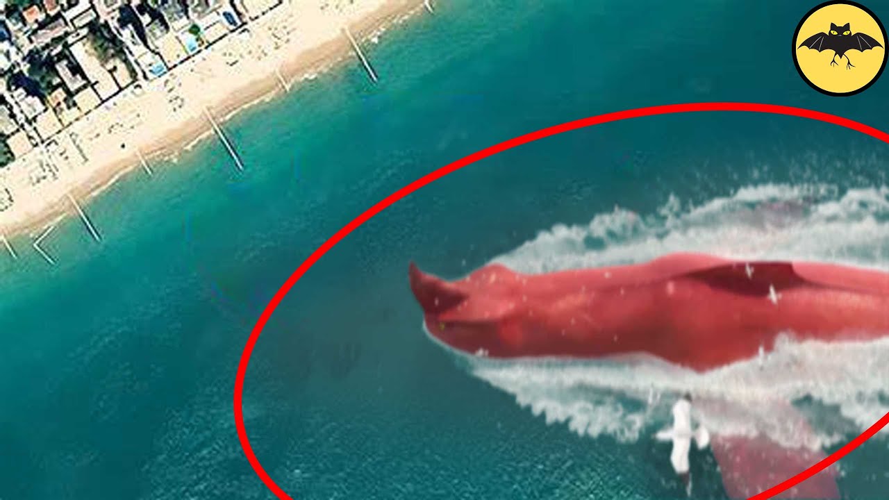 7 Monstrous Deep Sea Creatures Spotted on Google Earth. - YouTube