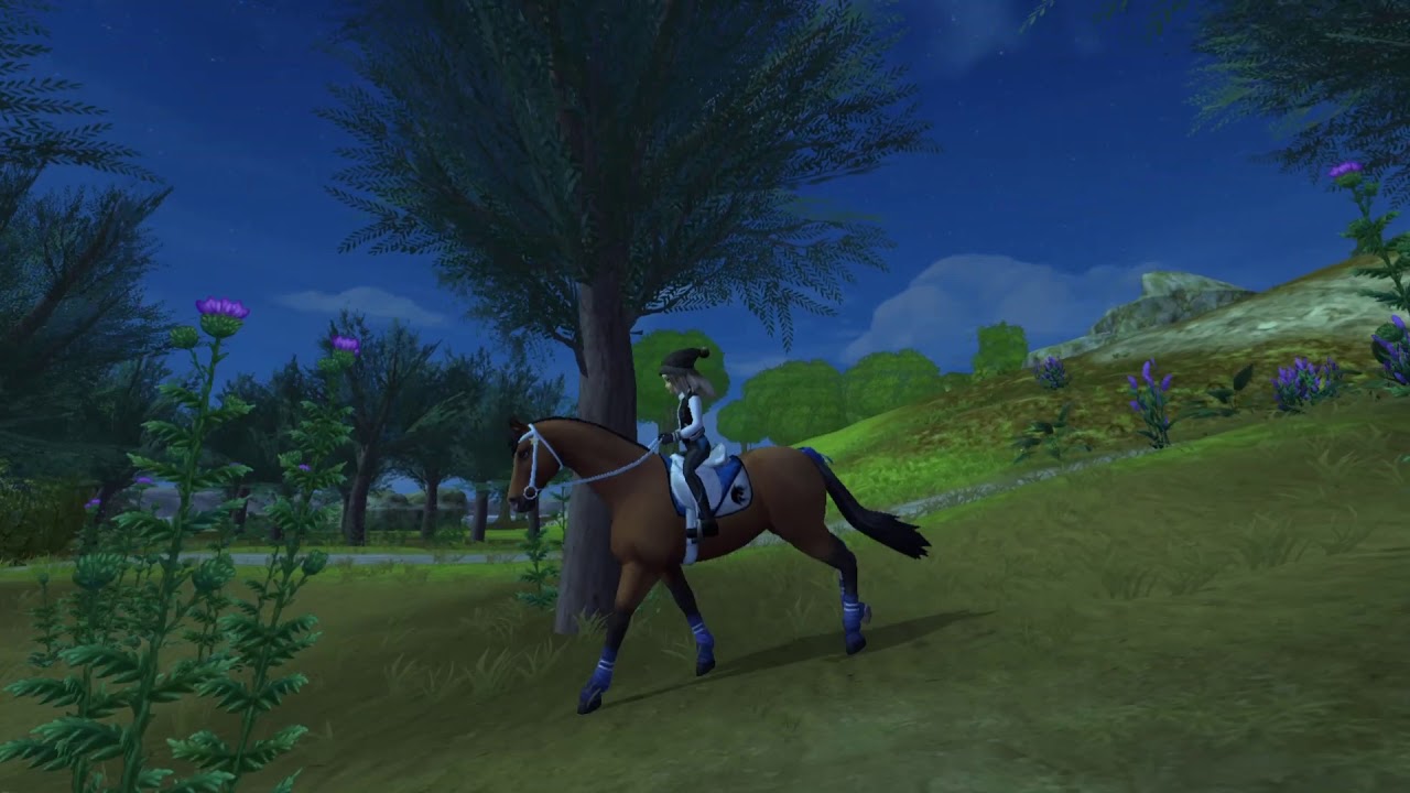 Night riding in sso🐴 - YouTube