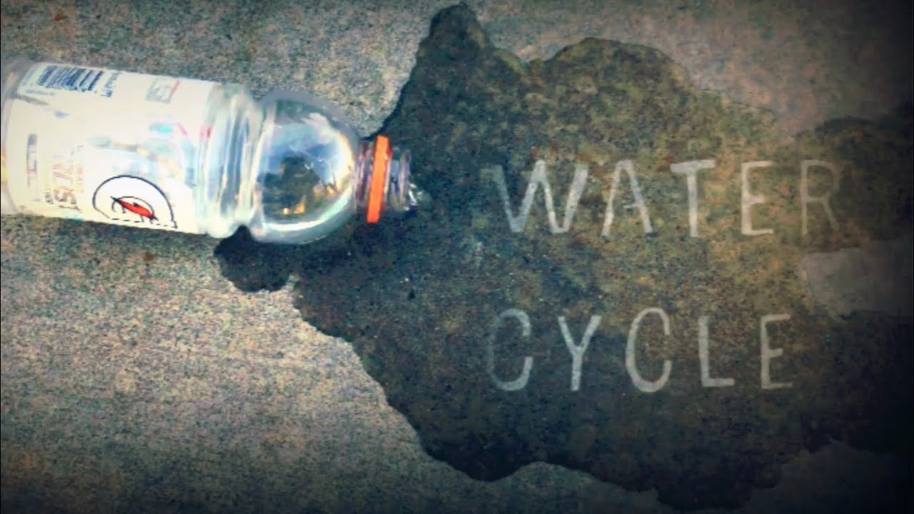 Water Cycle Rap - YouTube
