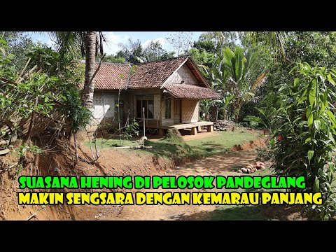 Pelosok Pandeglang Banten Makin Menjerit Dengan Kemarau Panjang. Ekonomi Makin Sulit..