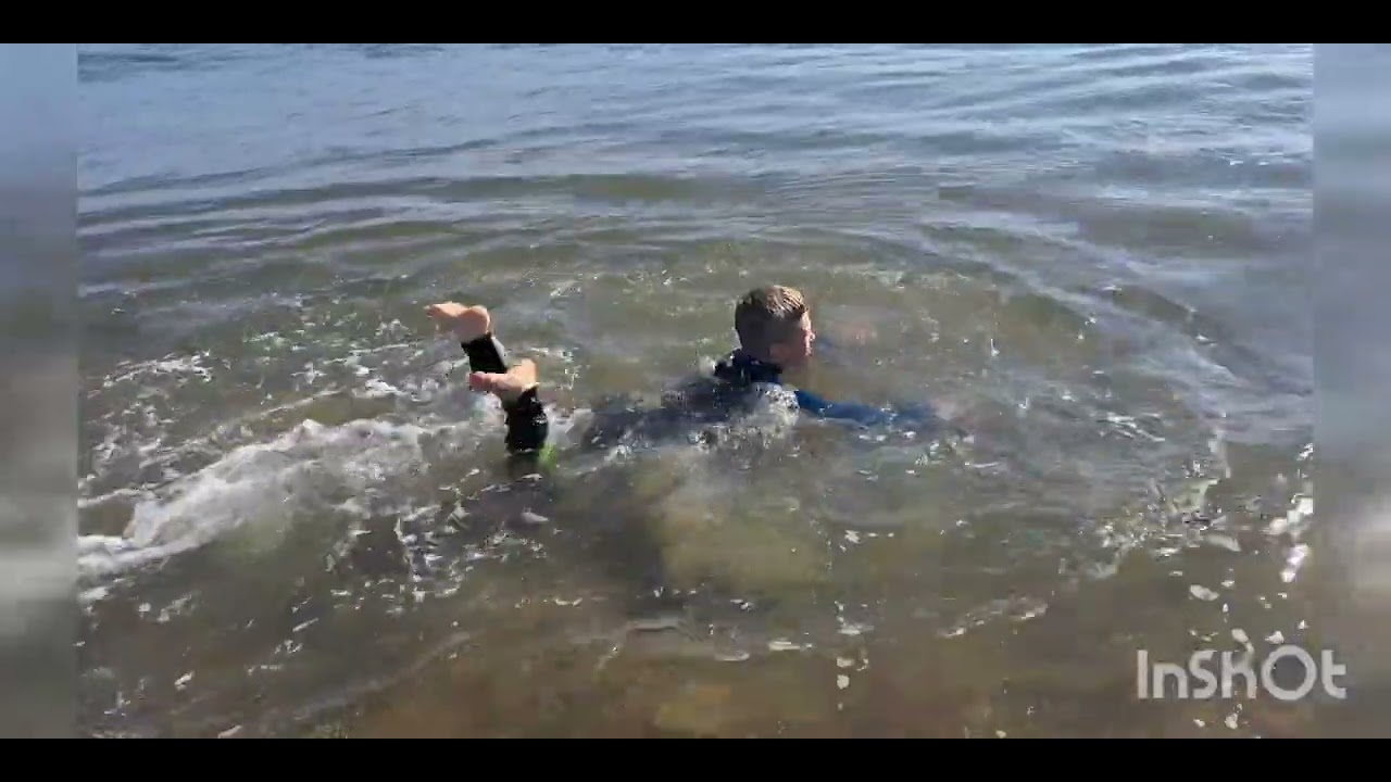 Early Morning Swim. Music: Let's CelebrateMusician: Music_Unlimited ...