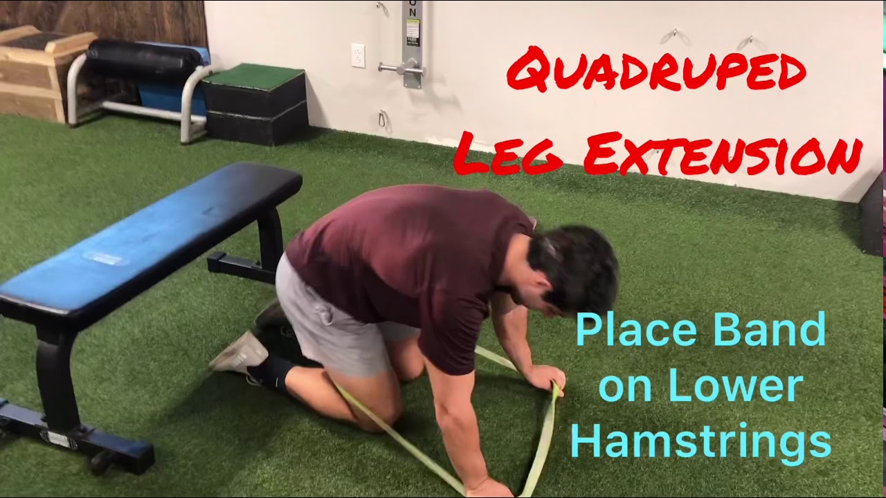 Invincible Legs/Band LowerBody Workout - YouTube