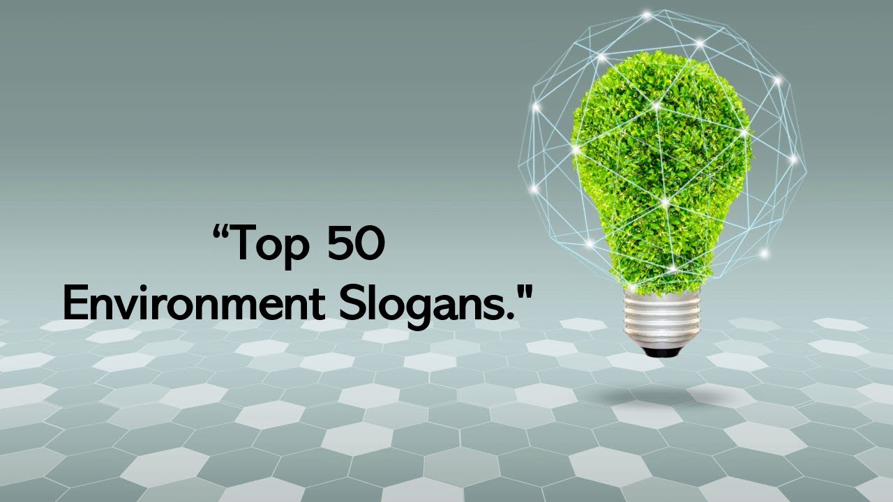 Top 50 Environment Slogan for World Environment Day 2023 #environment # ...