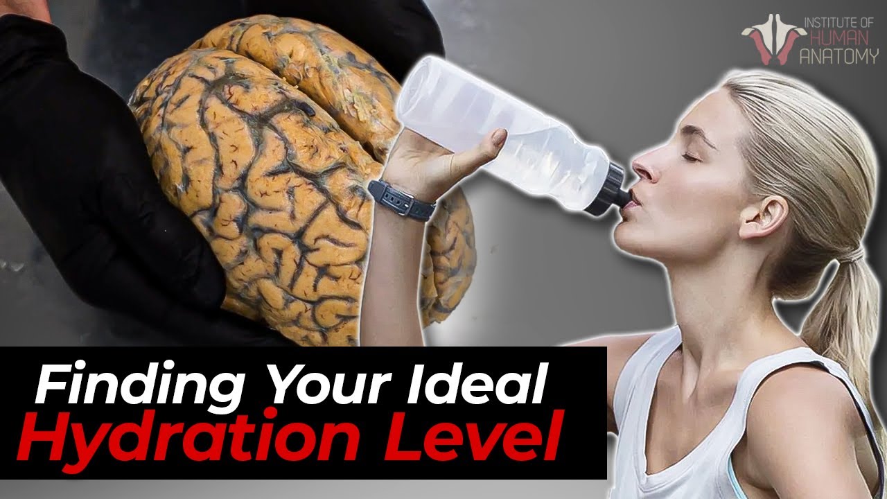 The Science of Hydration: How Much Water You Really Need - YouTube