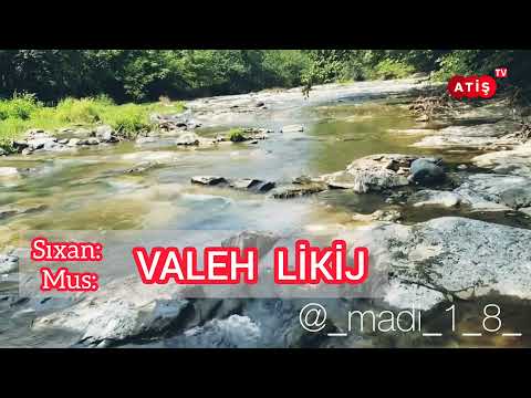 MADİ - CON TOLIŞE
