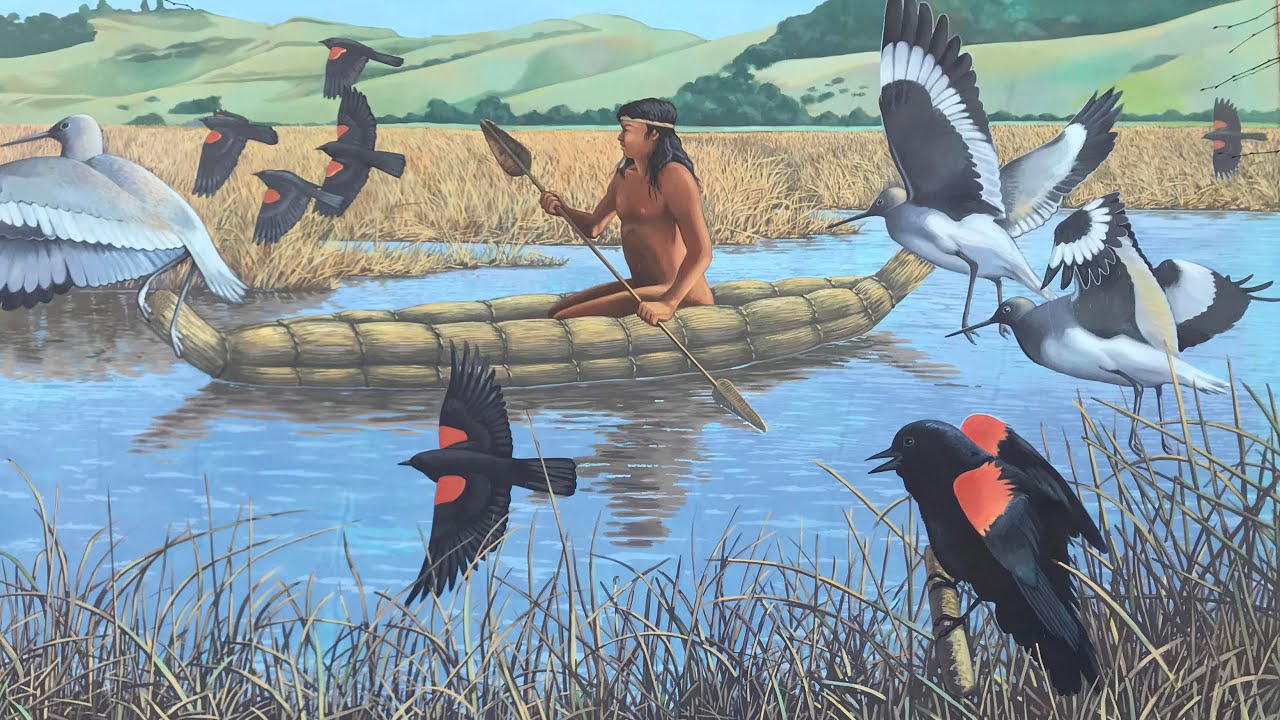 West Berkeley Shellmound—looking back to go forward - YouTube