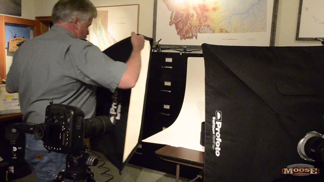 Profoto Acute 2400 hits the Equipment Locker - YouTube