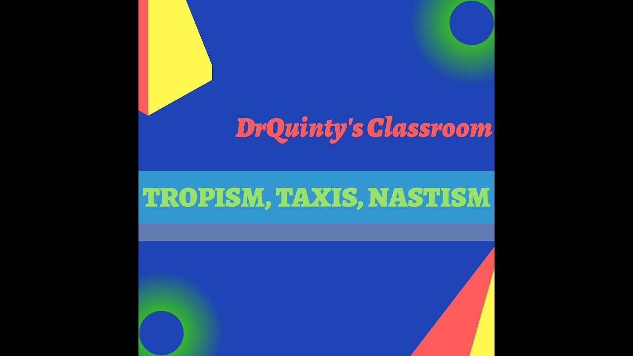 EXCLUSIVE! TROPISM, TAXIS, NASTISM; THE DIFFERENCES - YouTube