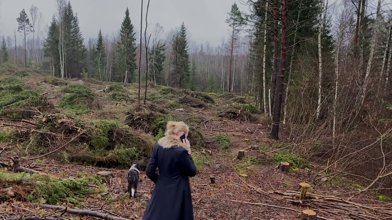 Trollsyn i hjärtmarkerna – ett projekt inom konstnärlig forskning - YouTube