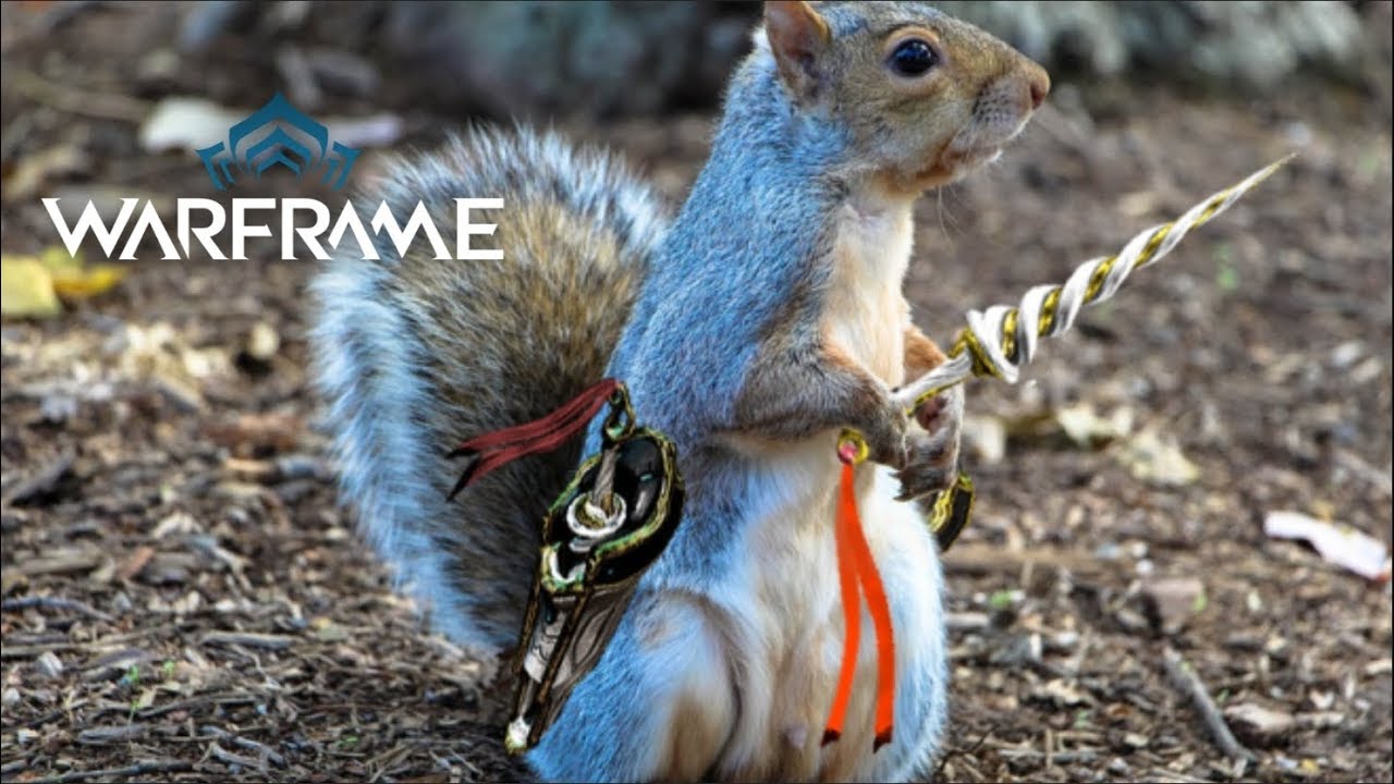 【Warframe】SPIRA PRIMEのビルド紹介＆解説 - YouTube