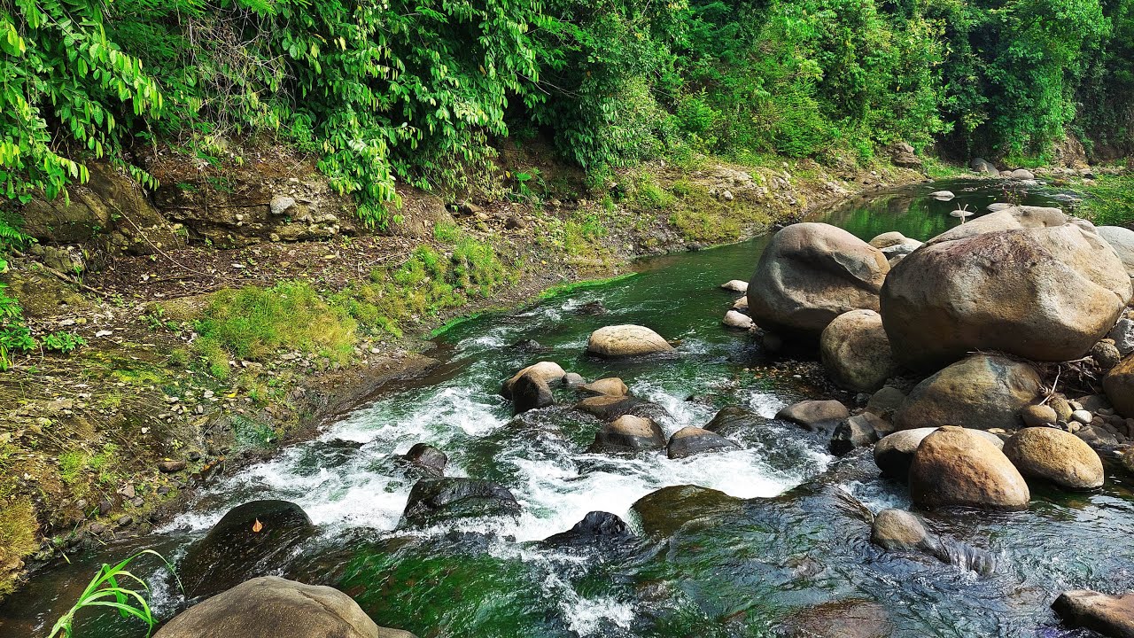 Heavenly Water Flow: Relax and Unwind with the Gentle Babbling Stream ...