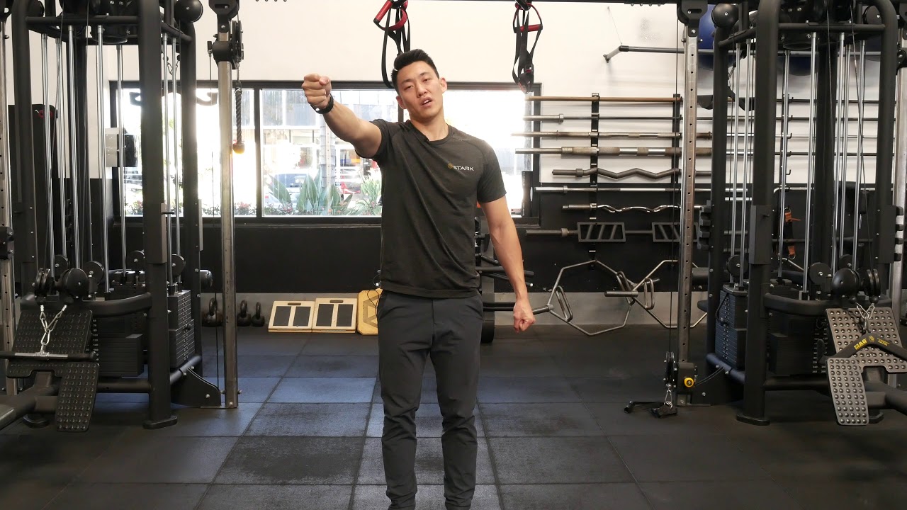 Scapular Cars Tutorial - YouTube