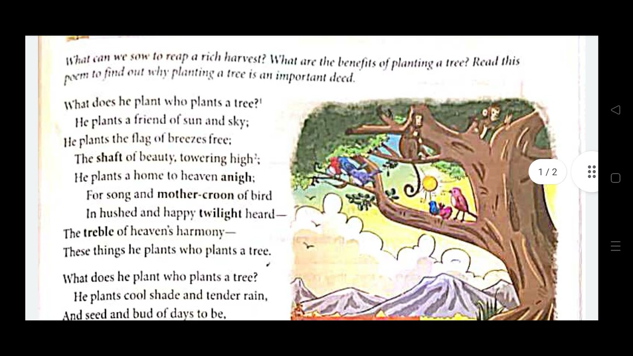 The heart of the tree||class5 Enriching English||Kidz education - YouTube