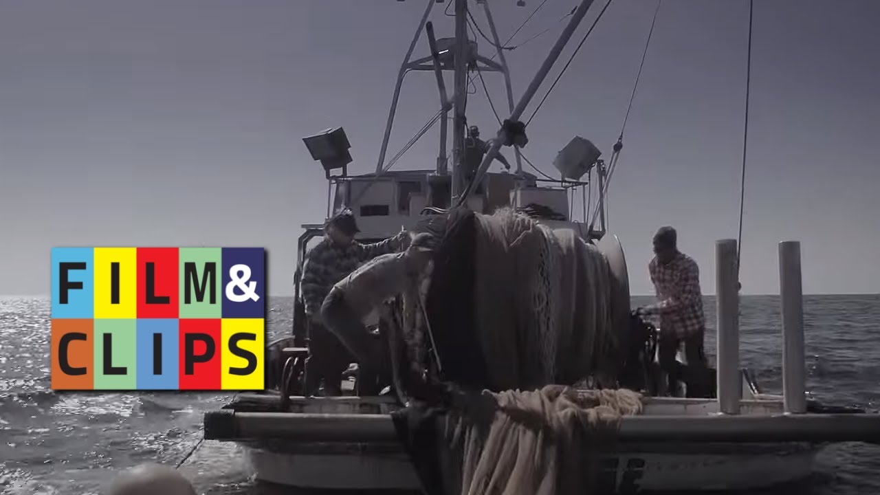 Sharknado - Clip HD by Film&Clips - YouTube