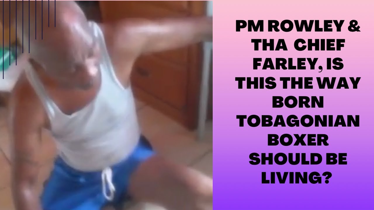 🇹🇹 PM Rowley & THA Chief Farley, Is This The Way Born Tobagonian Boxer ...