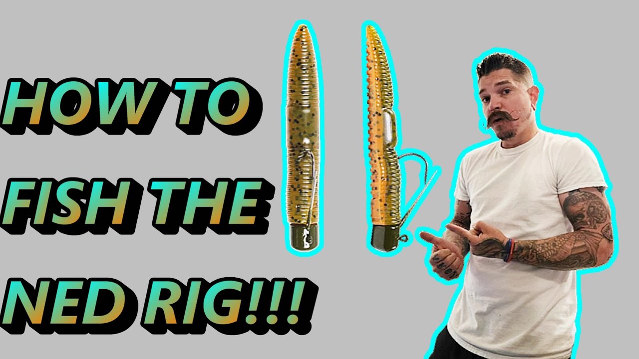 NED RIG - Everything you need to know - YouTube