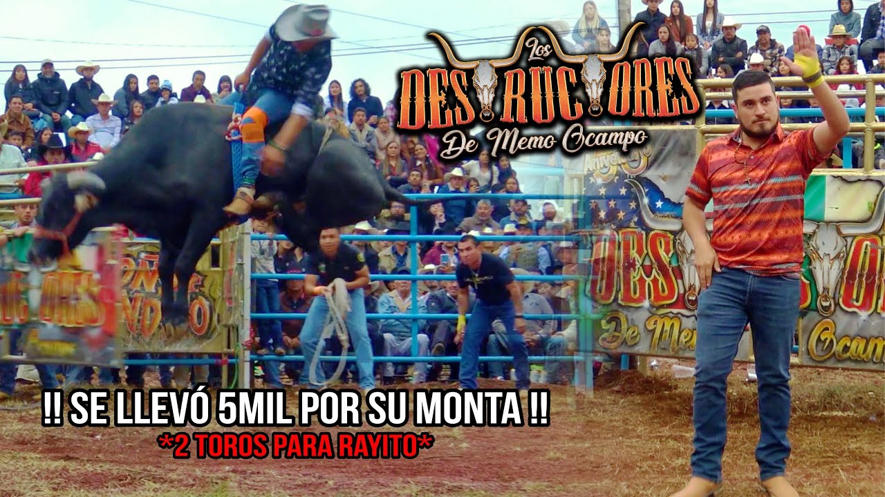 SE LLEVÓ 5MIL POR SU MONTA | 2 TOROS PARA RAYITO | 11 TOROS ...