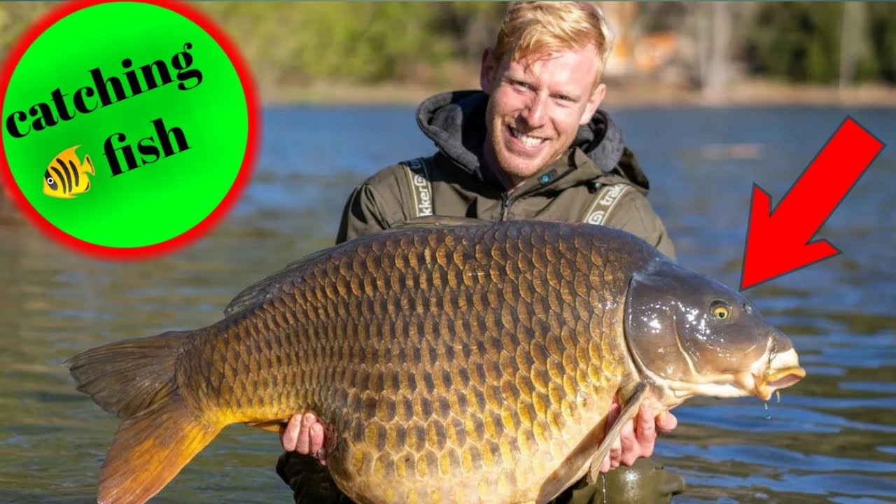 Really Amazing Hand Fishing Video Unbelievable Technique River Hill Big ...