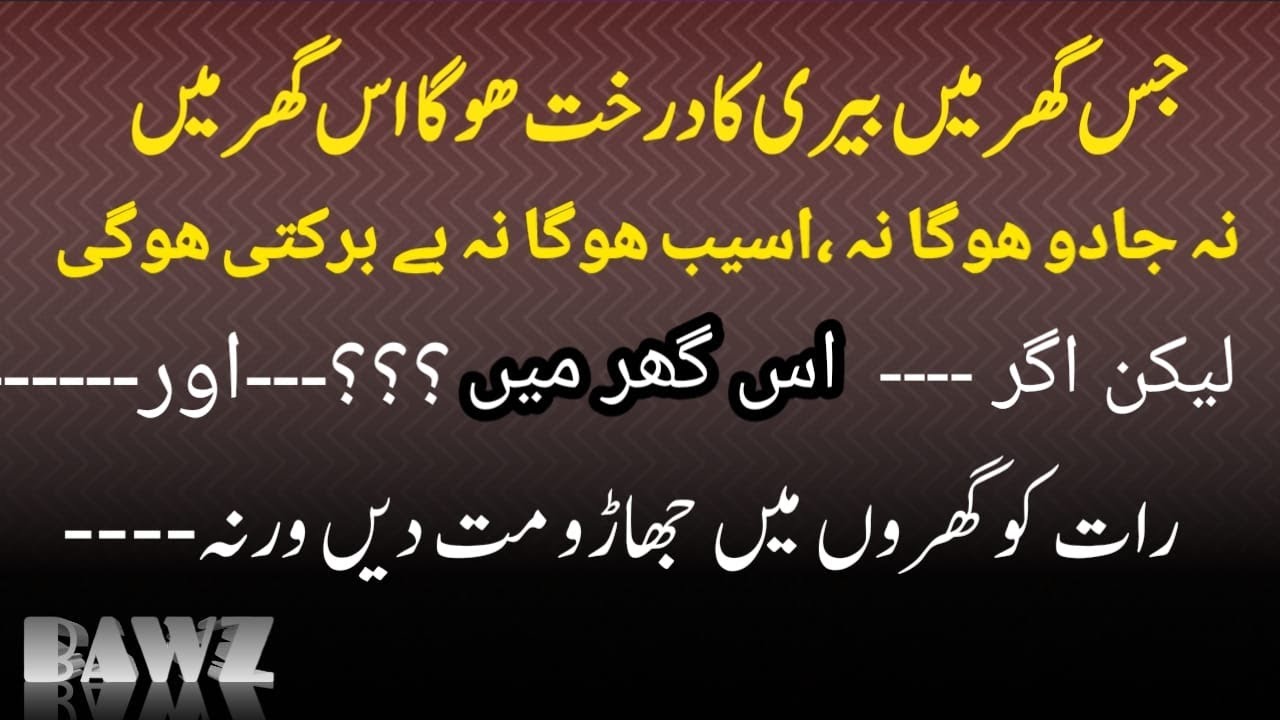 Bair ka darakht / beyan and wazaif/loss of cutting berry tree /jinnat ...