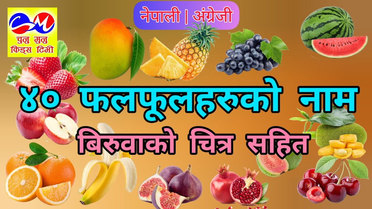 फलफूलकाे नेपाली नाम | Fruits Name in Nepali | apple banana grapes # ...