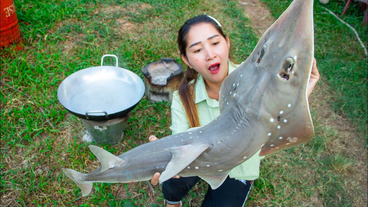 Amazing hybrid shark cooking process | 2 recipes for cooking hybrid ...