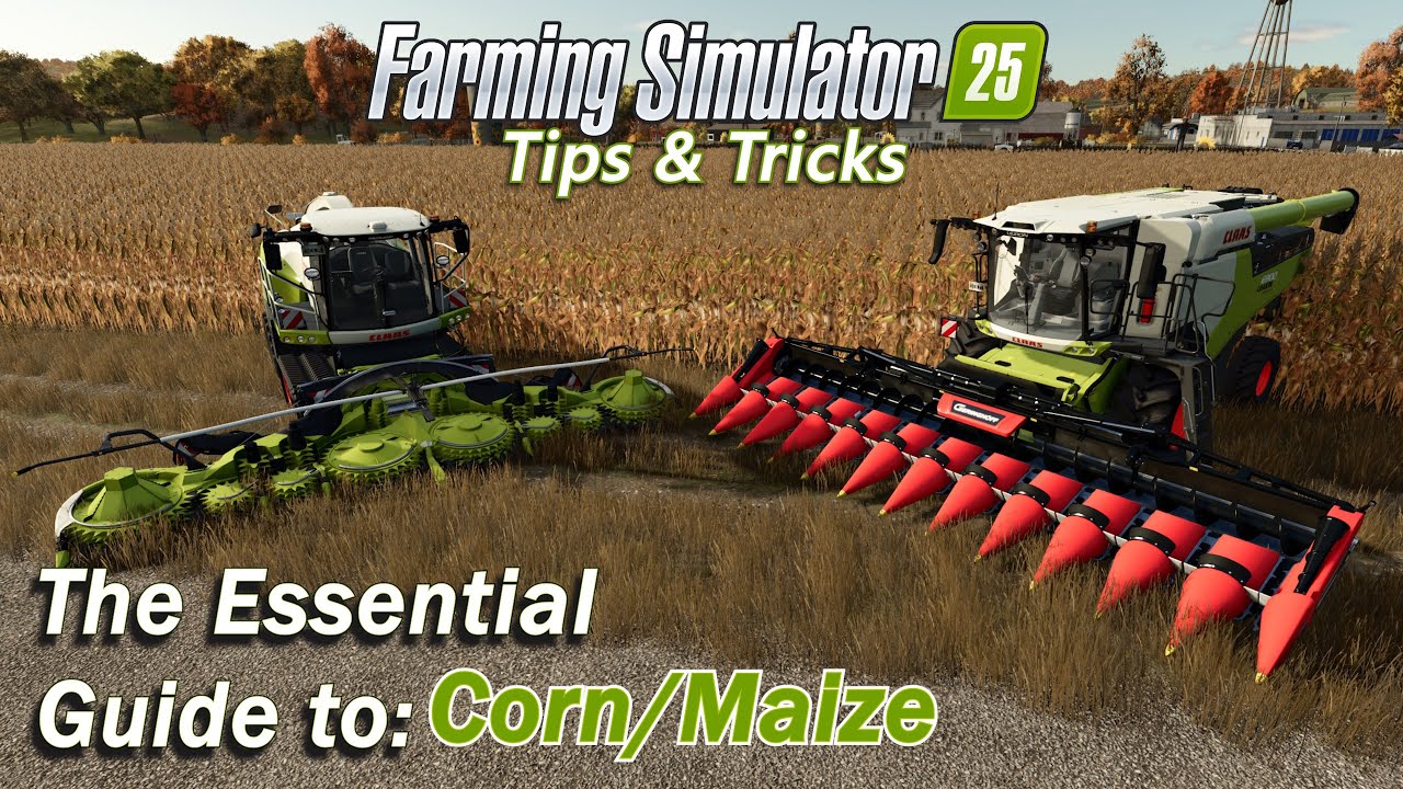 The Essential Guide to Corn or Maize in Farming Simulator 25 - YouTube