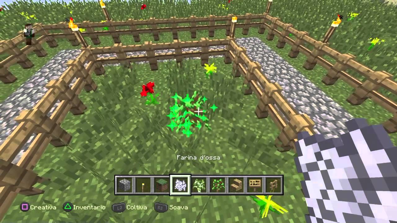 Minecraft BuildBattle IL PARCO - YouTube