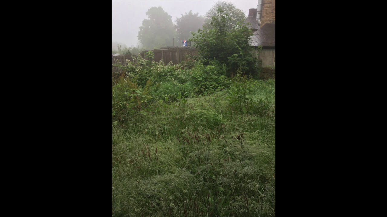 Field Of Rushes - YouTube