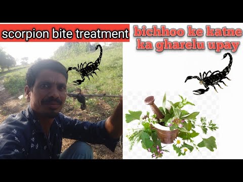 bichhoo katne ka ilaj//scorpion bite treatment#farmingvlogs #viral # ...