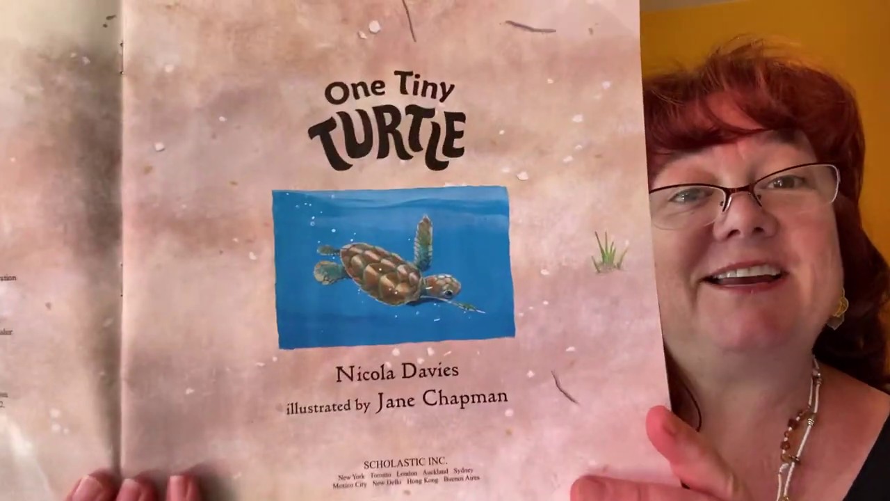 One Tiny Turtle - YouTube