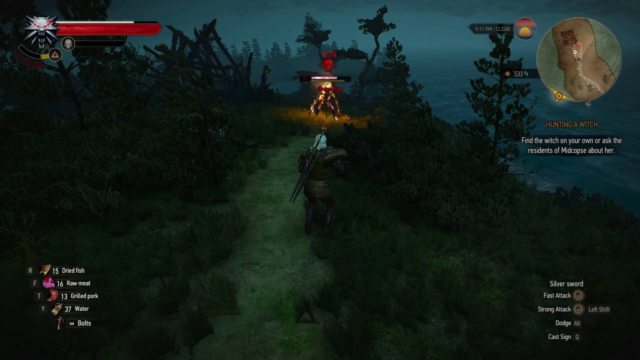 Killing ?? Level Grave Hag Using Igni (Witcher 3 NG+) - YouTube