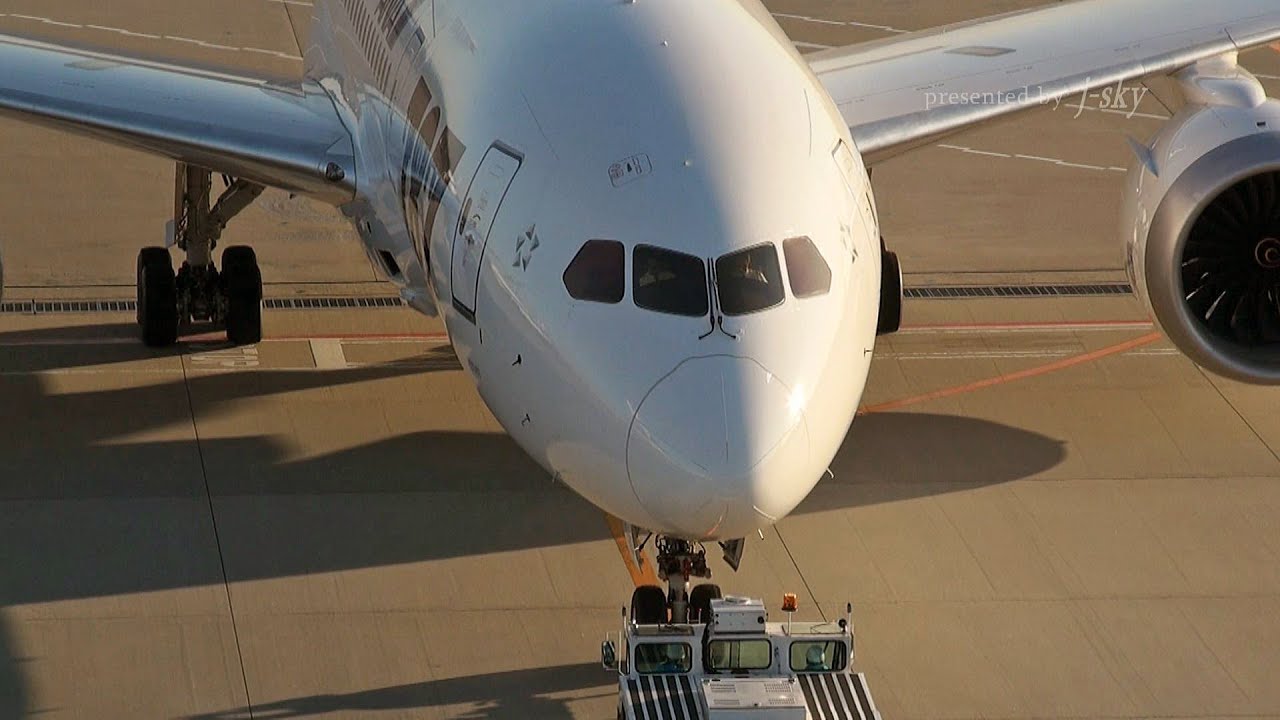 [HD] ANA x JAL BOEING 787 DREAMLINER #02 ANA 787 Special Painting at ...