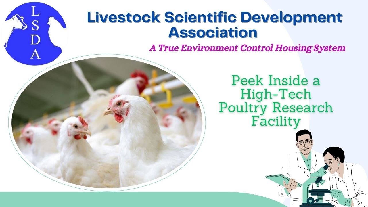 LSDA: State of the Art facility for poultry research - YouTube