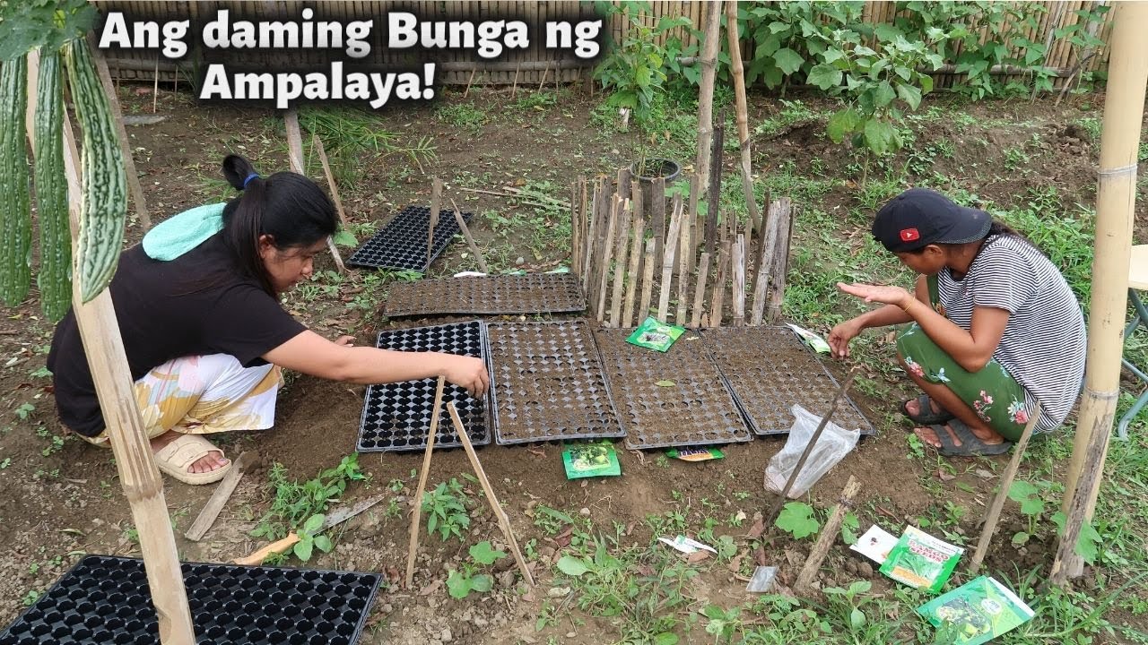 Bagong Native Gate sa Farm! Nagpunla ng Gulay sa Farm | BUHAY PROBINSYA ...