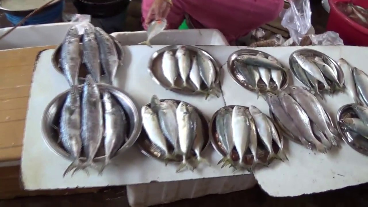 MHASLA MACHI MARKET - YouTube