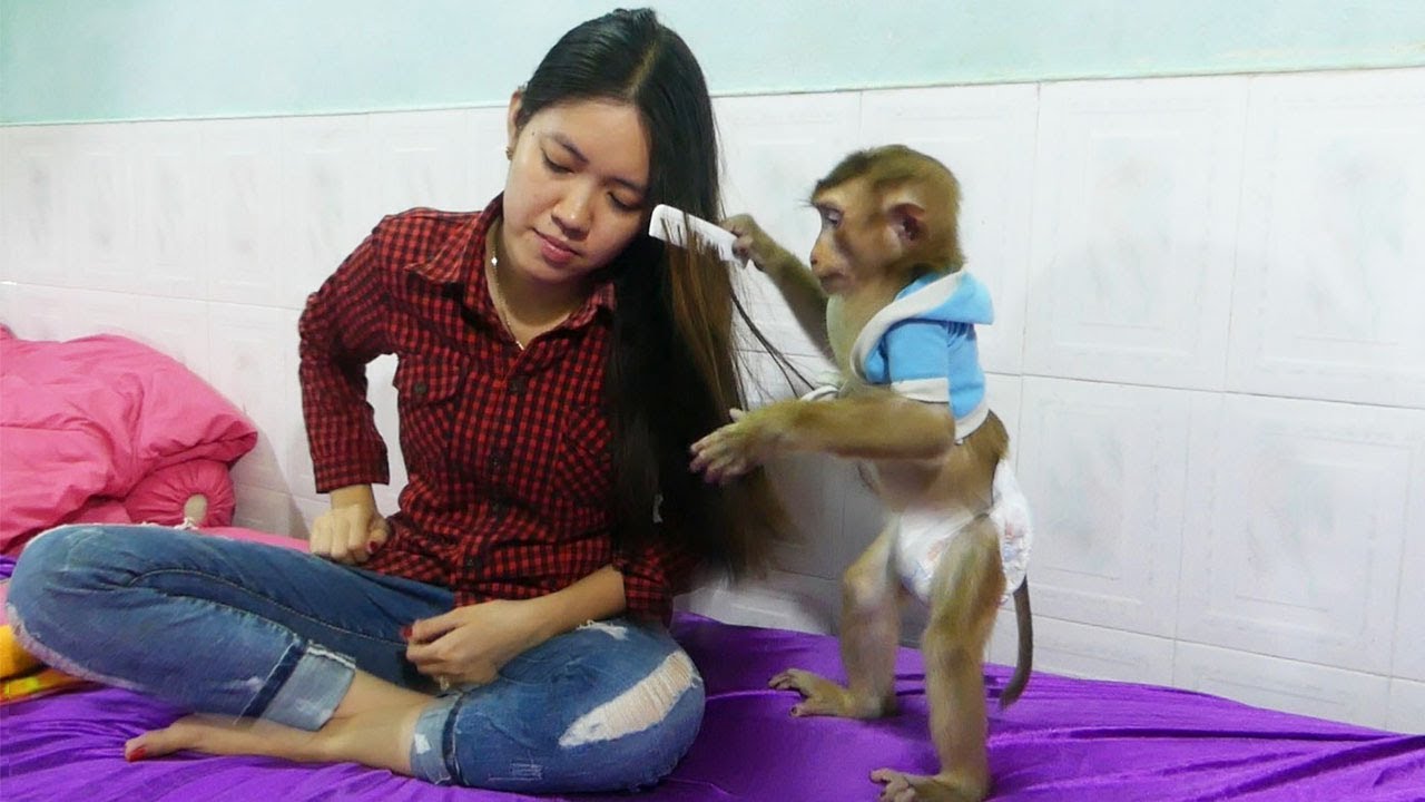 Amazing Baby Monkey!! Dodo Comb Hair For Lovely Mom - YouTube