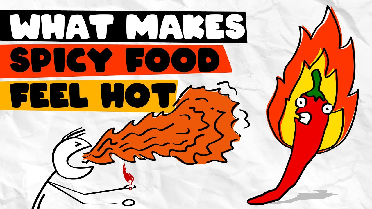 What Makes Spicy Food Feel Hot? - YouTube