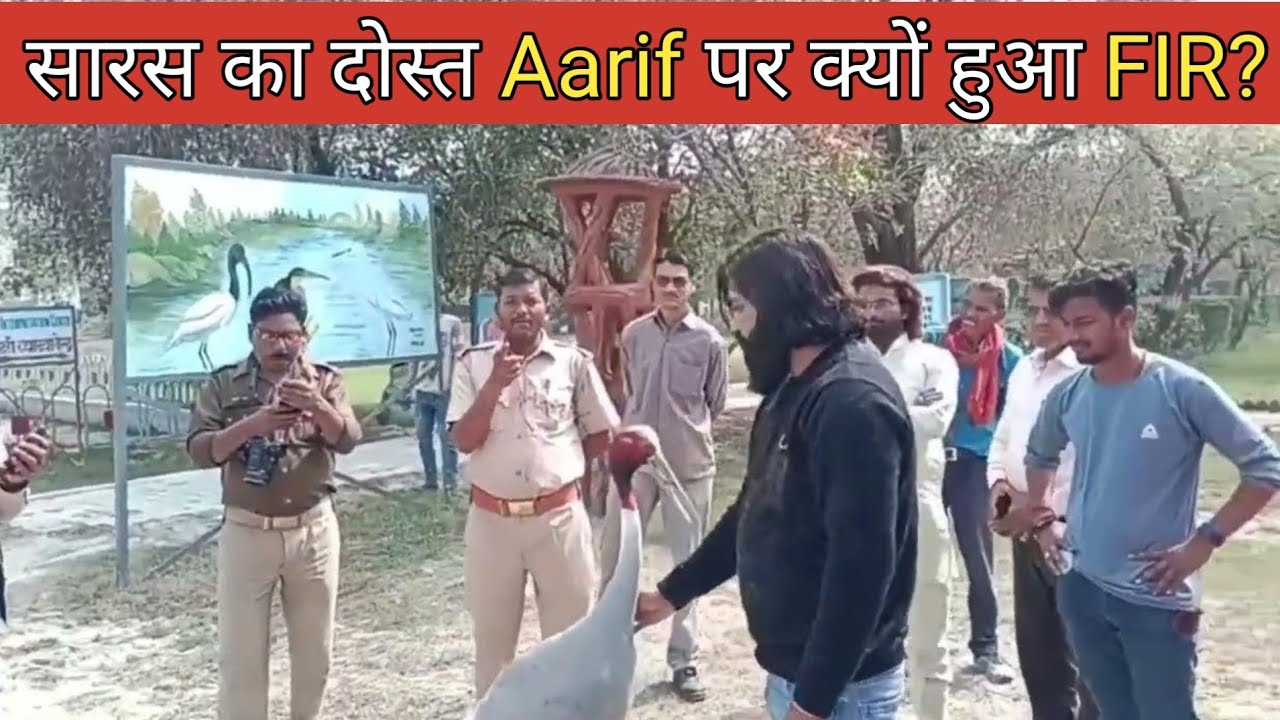 सारस का दोस्त Aarif पर क्यों हुआ FIR? | Why was FIR lodged against Saras's friend Arif? - YouTube