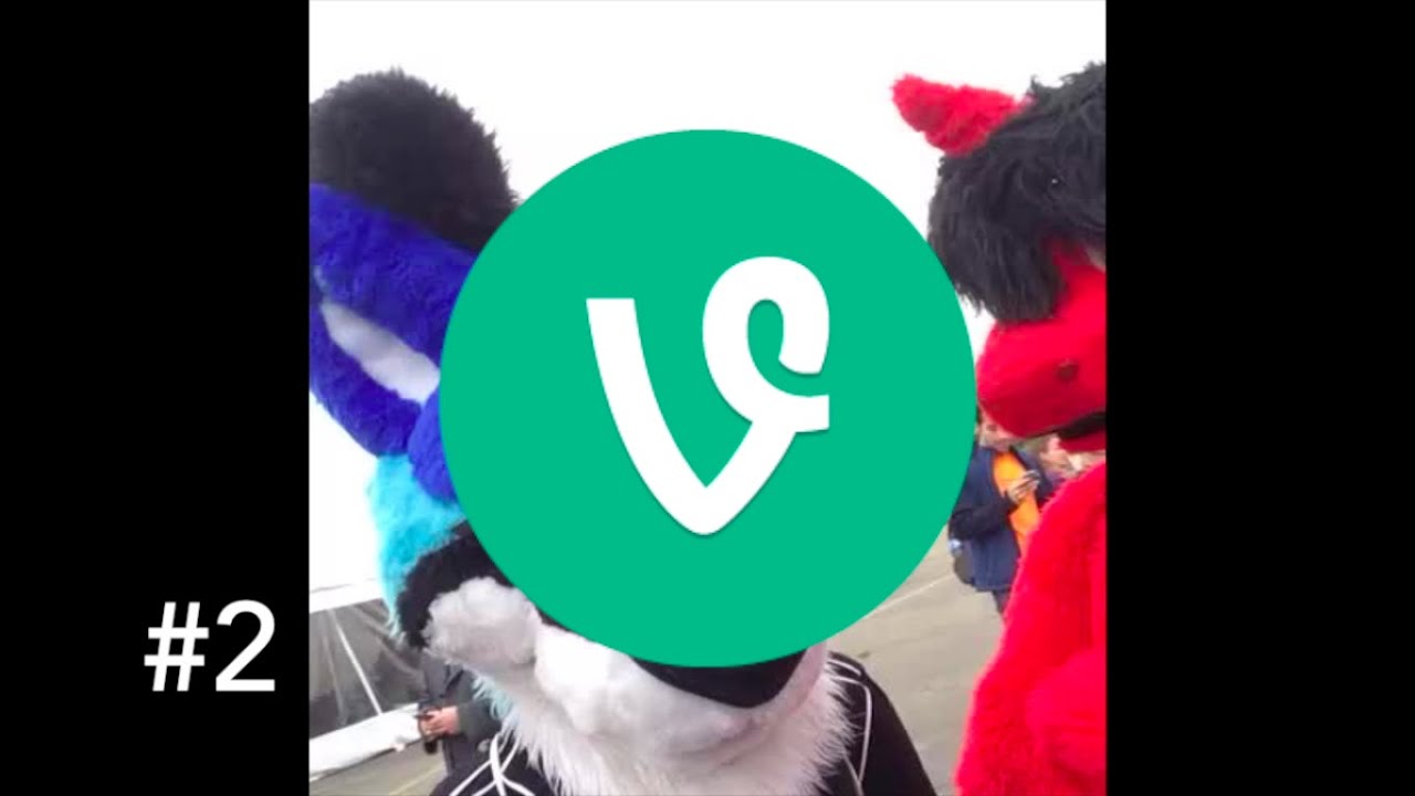 Furry Vine Compilation #2 50+ Vines - YouTube
