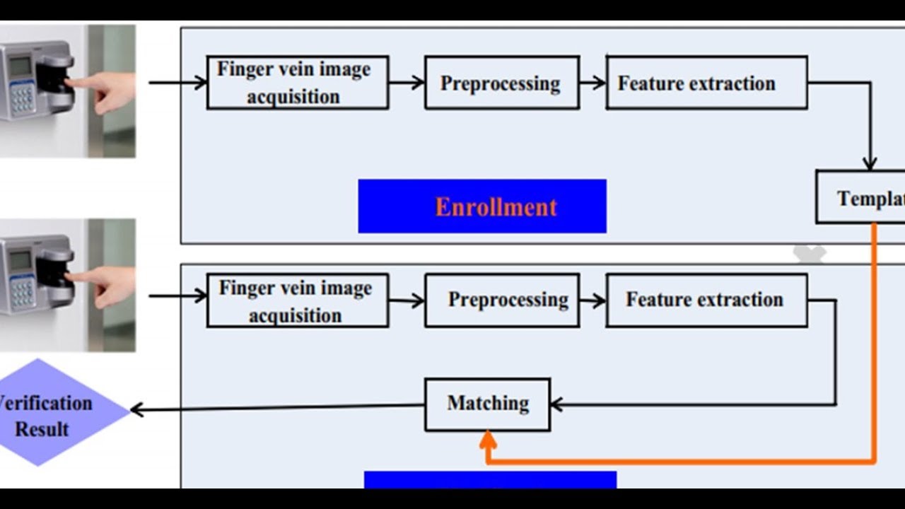 Finger Vein Recognition Techniques - YouTube
