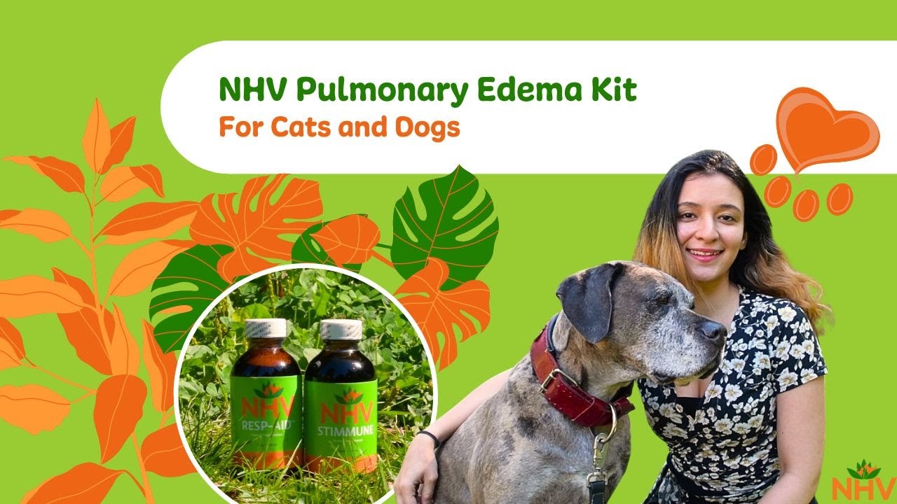 NHV Pulmonary Edema Kit For Cats and Dogs - YouTube