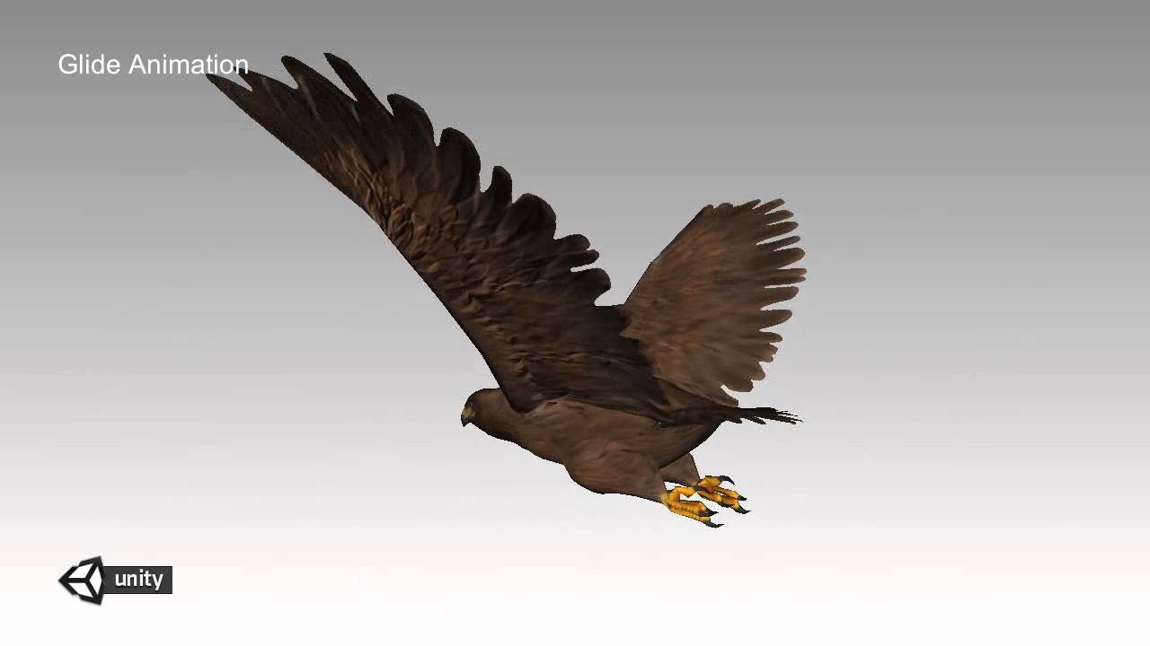 Eagle Animations Demo - YouTube