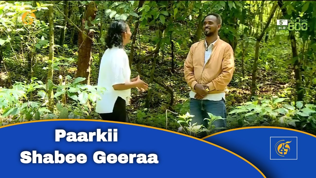 Paarkii Shabee Geeraa - YouTube